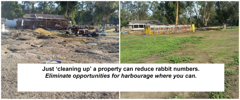 Rabbit Control – Persistence & Integrated Control Methods are Key ...