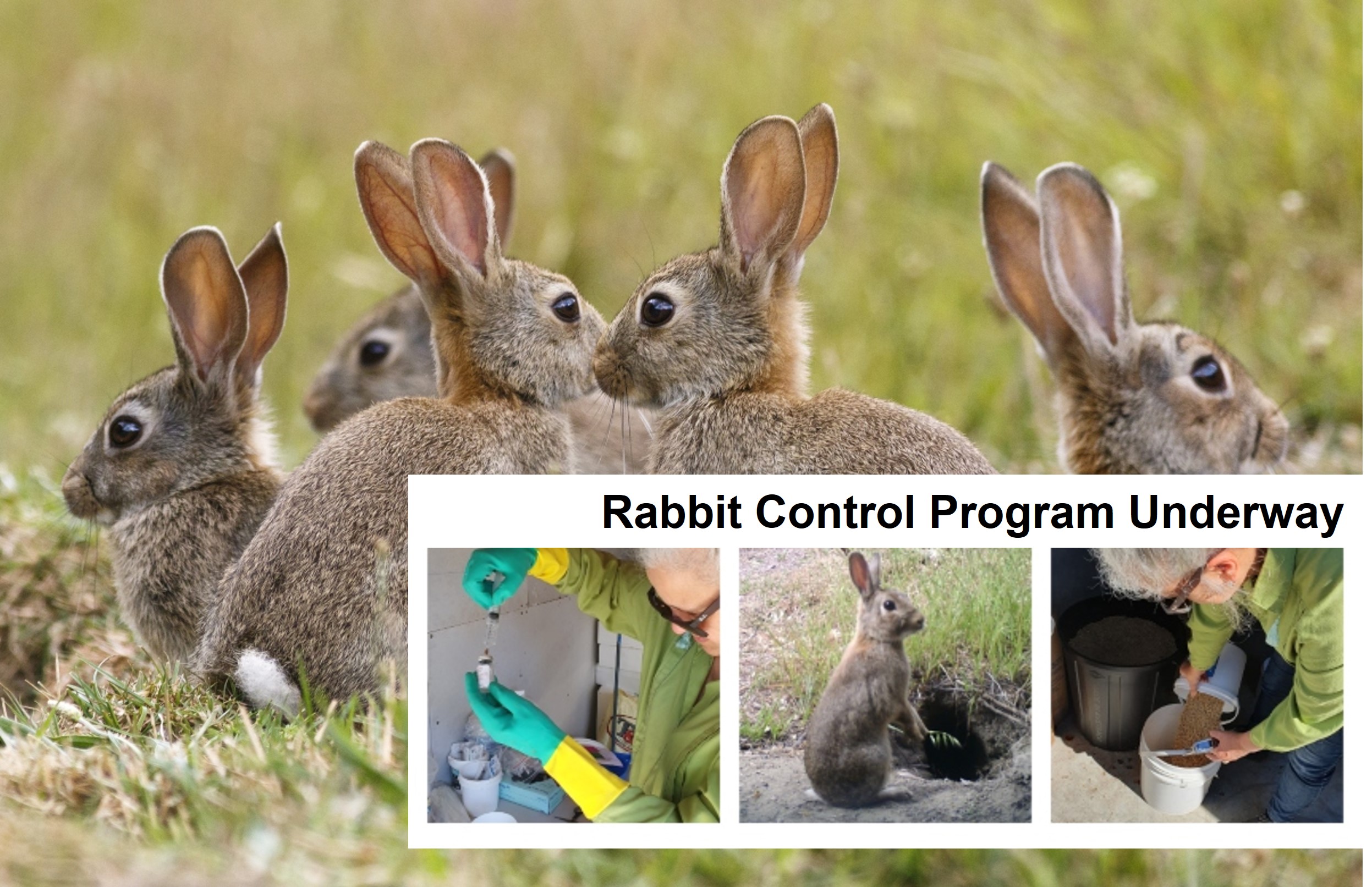 Leschenault Biosecurity | Your land your future